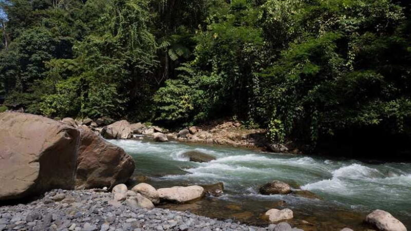 3 Days 2 Nights Orangutan Trek Bukit Lawang - Why This Tour Works Well