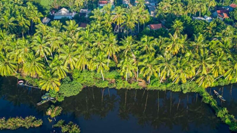 3 DAYS MEKONG DELTA - Final Thoughts