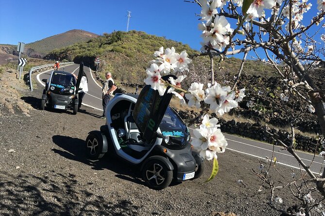 4 Hours Eco Safari Tour with Electric Car in Tenerife - The Gourmet Stop: Chio