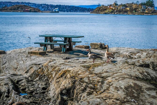 4 Hours Island Hopping Tour in Oslo - Who Should Consider This Tour?