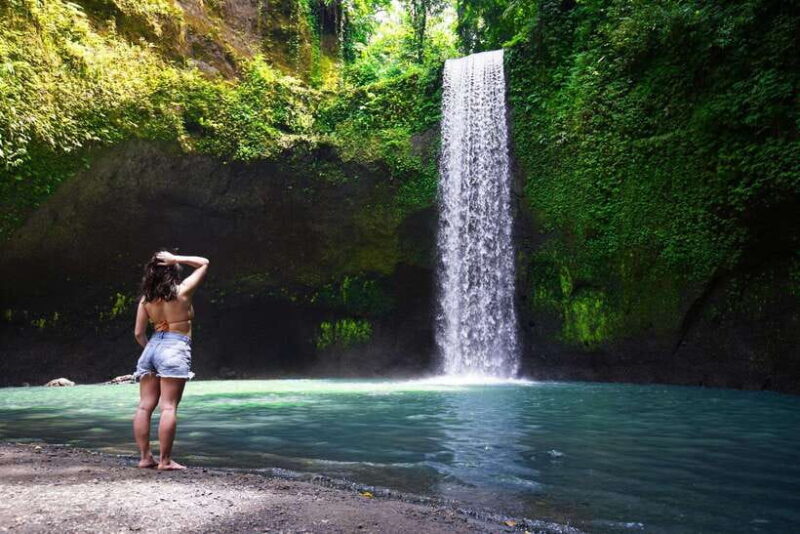 6 Hours Car Charter for Ubud Day Tour - The Sum Up