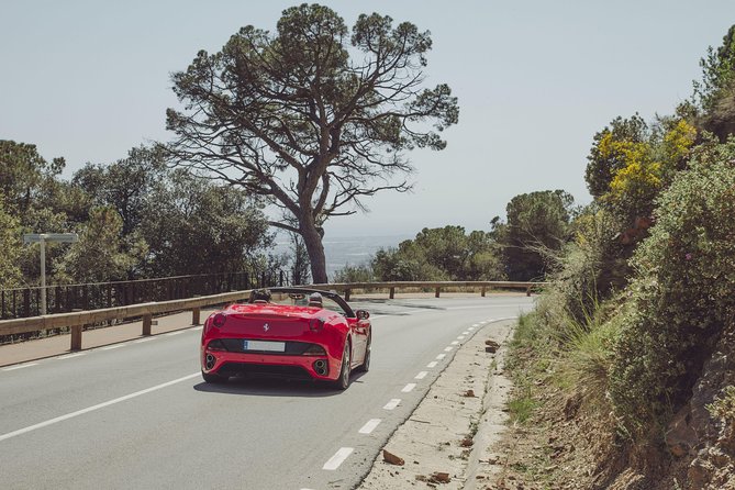 90-min Barcelona Supercar City Tour to Tibidabo - Authentic Feedback from Participants