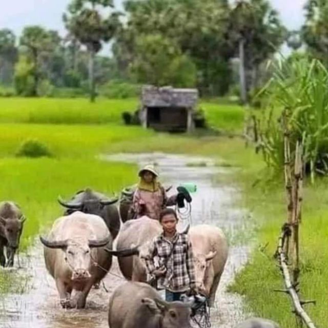 Afternoon tour through Battambang, Local area and landmarks - FAQ