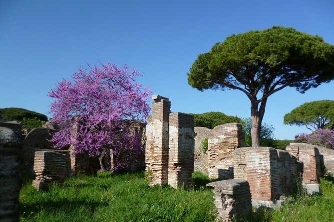 All-included Guided Ostia Tour for Kids & Families with Hotel Pick-up & Drop-off - FAQ
