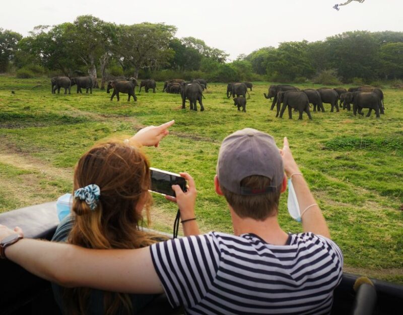 All-Inclusive Habarana HuruluEco Park Private Halfday Safari - The Experience: Authenticity Meets Convenience