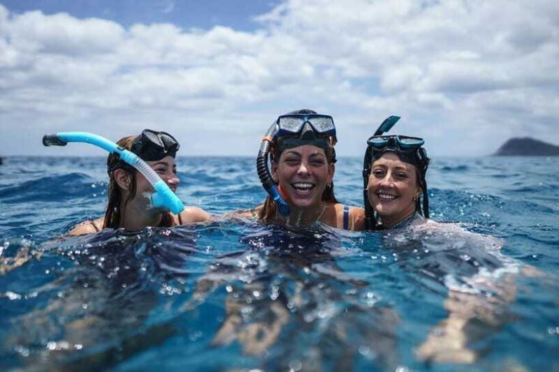 Amed: Snorkeling Tour with Japanese Shipwreck and Coral - Final Thoughts