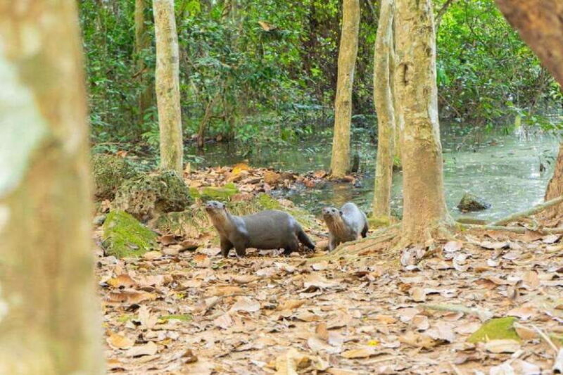 Angkor Bike tour & Gondola Sunset Boat w/ Drinks & Snack - Authentic Feedback from Travelers