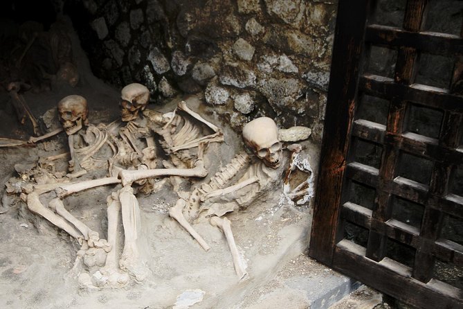 Archeological Herculaneum Private & Personalized Guided Tour - Who Is This Tour For?