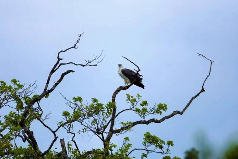 Arugambay :Pottuvil Lagoon Boat Safari Eco Tours - Final thoughts