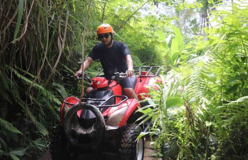 ATV Adventure & Scenic Cycling Tour in Bali - The Value of This Tour