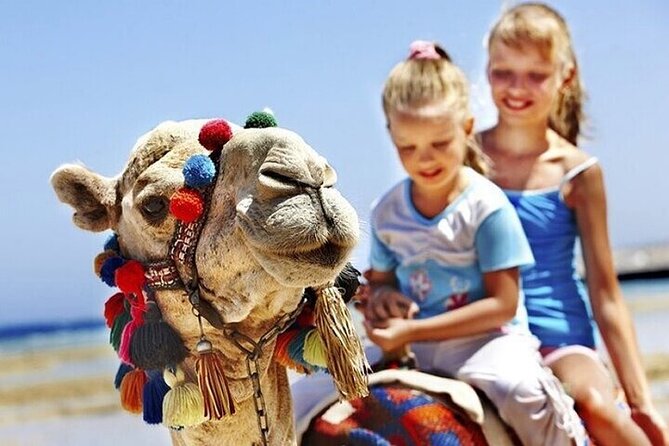 Authentic Private Tangier Tour from Cadiz Camel Ride & Lunch - The Sum Up