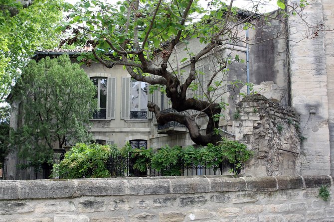Avignon's history, local culture & the wines of Châteauneuf du Pape private tour - Final Thoughts