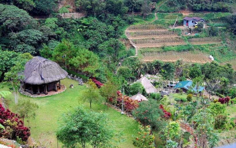 Baguio Whole Day Tour with Lunch (Private Tour) - FAQs