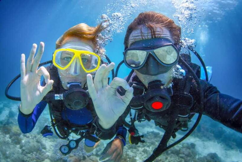 Bali: 3-Days PADI Open Water Diving Course - FAQs