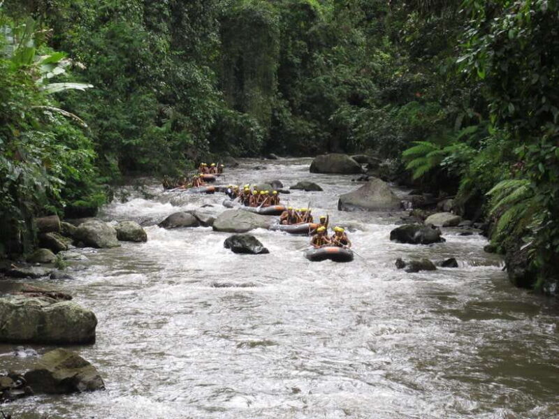 Bali: ATV, Water Rafting, and Monkey Forest Tour - Authentic Insights from Travelers
