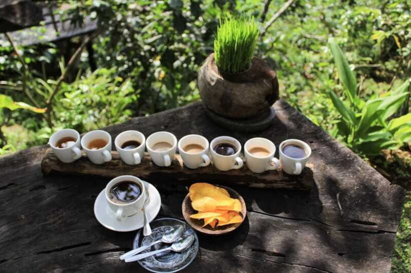 Bali: Authentic Culinary Street Food Experience Tour - Frequently Asked Questions
