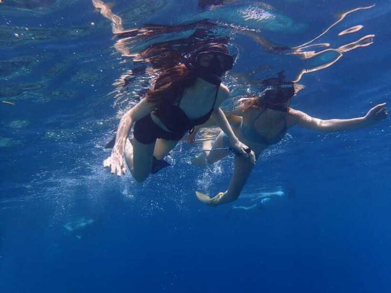 Bali: Basic Snorkeling at Menjangan Island - FAQ