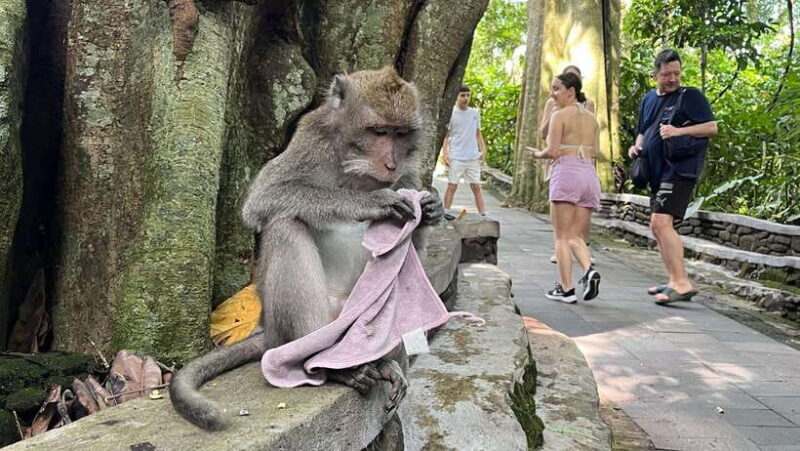 Bali: Batuan temple, Monkey Forest, Kato Lampo waterfall - Authentic Experiences and Tips