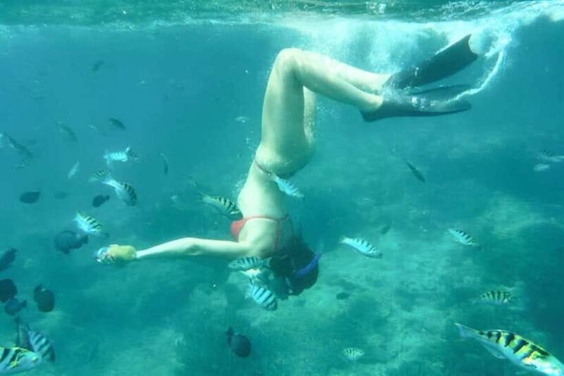 Bali: Blue Lagoon Snorkel, Kanto Lampo & Tibumana Waterfalls - Who Is This Tour Best For?