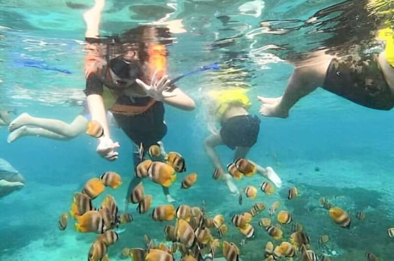 Bali: Blue Lagoon Snorkeling Tour with Ayung River Rafting - The Sum Up