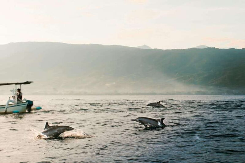 Bali: Dolphin Watching, Waterfall, Wanagiri and Ulun Danu - Final Thoughts