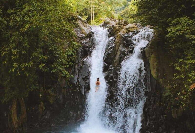 Bali/Lovina: Dolphin Snorkeling, Swimming & Waterfall Tour - Who This Tour Is Best For