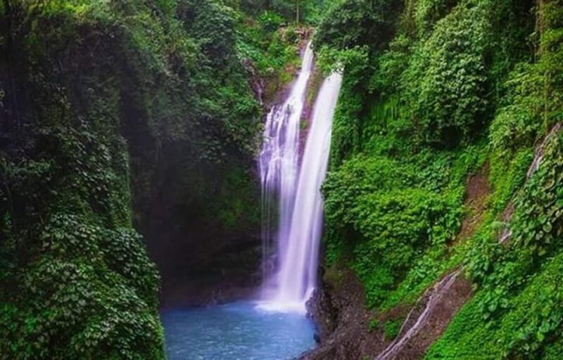 Bali: Lovina tour to see dolphin - Frequently Asked Questions