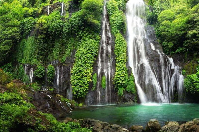 Bali: Private Ubud Highlights Tour with Customized Tour - What Travelers Say About the Experience