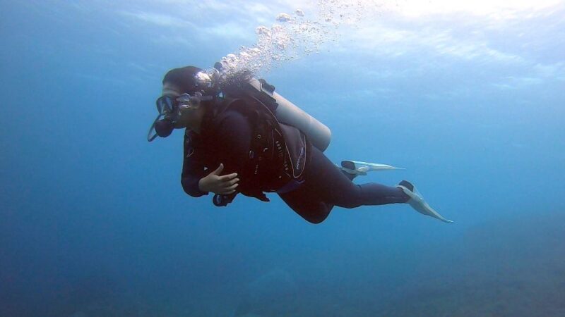 Bali Sanur: Scuba Diving day trip to Nusa Penida 3 dives - The Practicalities