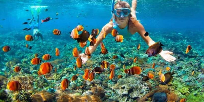Bali: Snorkeling and ATV Quad Bike Adventure with Lunch - Practical Tips for Participants