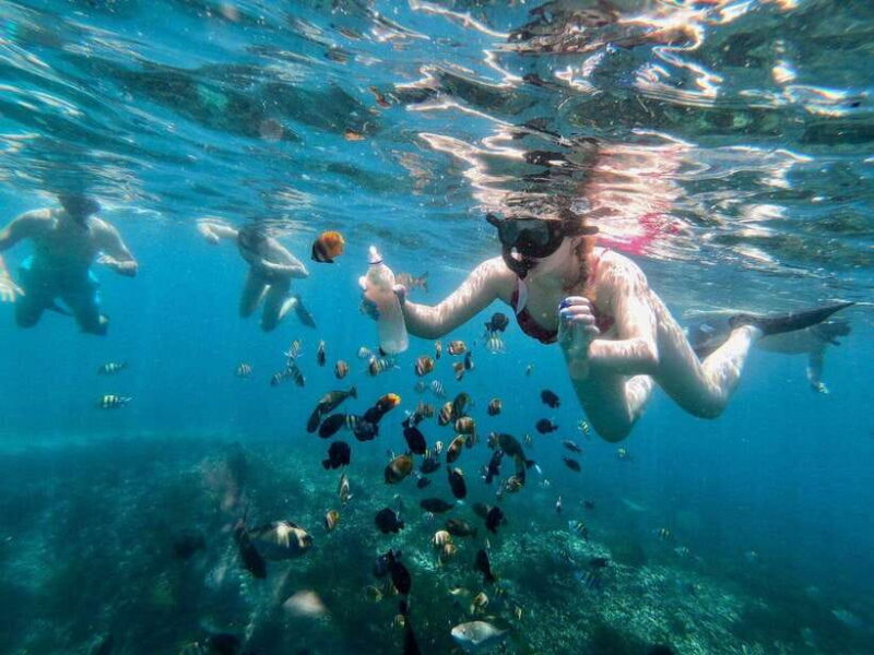 Bali Snorkeling: Blue Lagoon and Tanjung Jepun All Inclusive - Practical Tips for Your Snorkeling Day