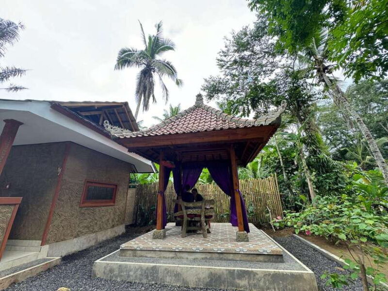 Bali: Temple Visit with Palm Reader & Purification Ceremony - Who Should Consider This Tour?