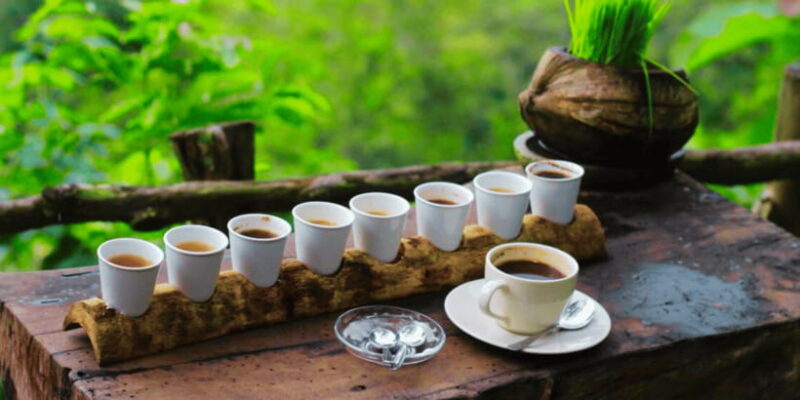Bali: Ubud Rice Terraces, Monkey Forest & Waterfall Tour - Who Would Love This Tour?