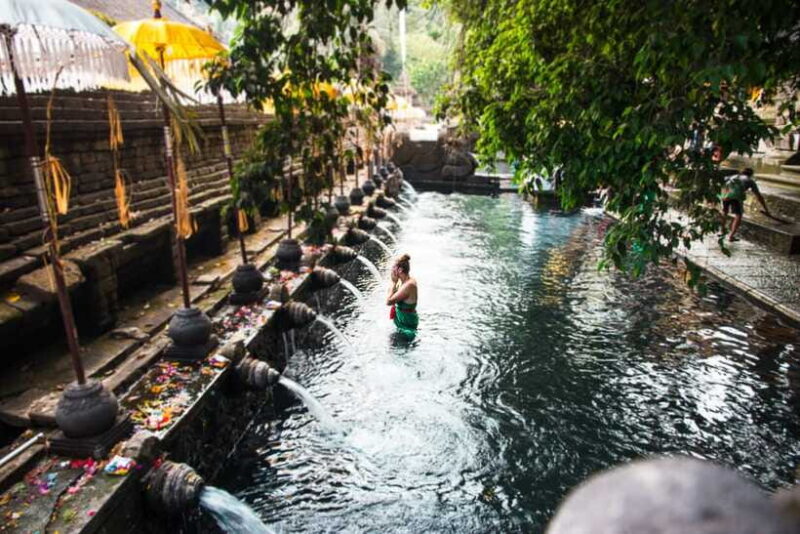 Bali: Ubud (Temple, Spring, Rice Terraces, & Waterfall) - Transportation, Timing, and Group Size