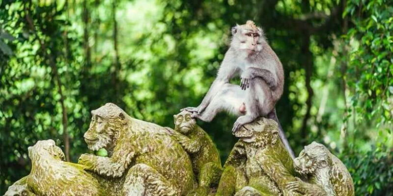 Bali UNESCO Trip : Ulundanu, Taman ayun & Tanah lot Temple - Key Points