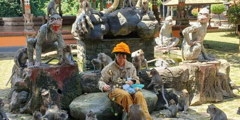 Bali: UNIQUE ACTIVITY OF FEEDING MONKEYS - The Practical Side: Costs, Duration, and Logistics