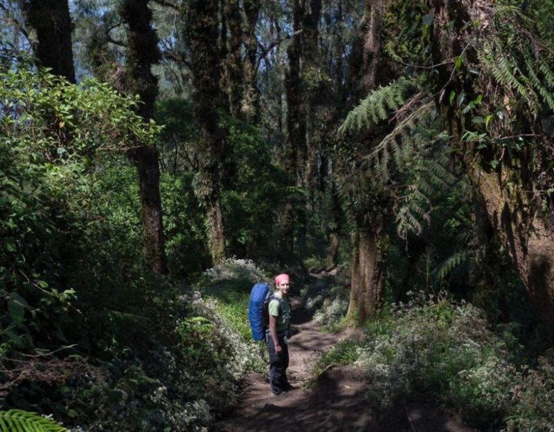 Bali's Mount Abang Expedition: Guided Hike - Who This Tour Is Best For