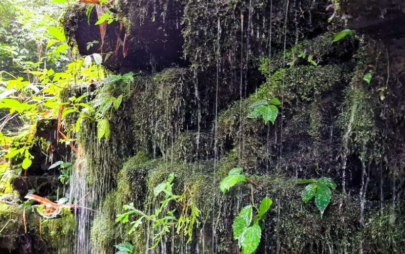 Balis Mystical Jungle Trek & Hidden Waterfall Adventure - FAQ