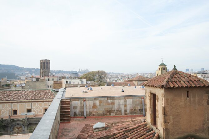 Barcelona Cathedral: Ticket, Guided Tour, Terrace + VR Experience - Who Should Consider This Tour?