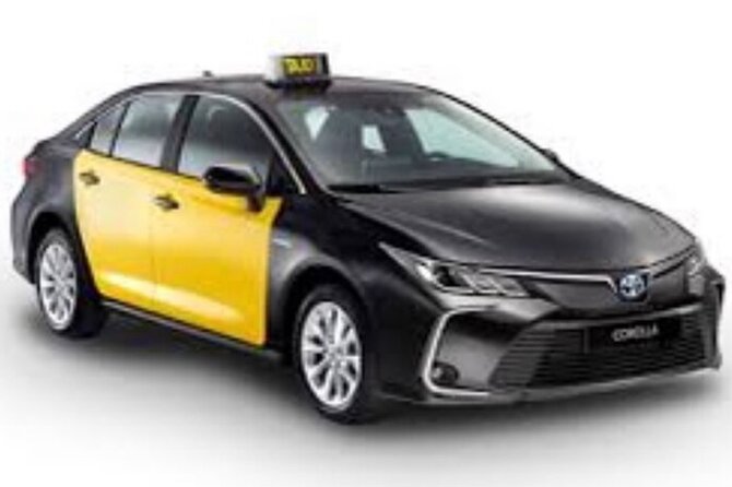 Barcelona City to Cruise Port Private Transfer - Frequently Asked Questions