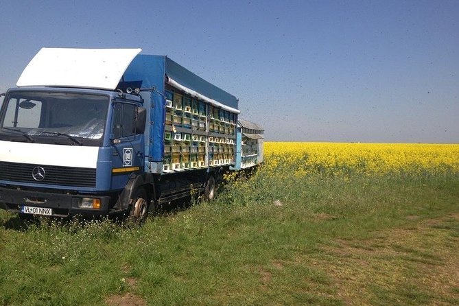 Beekeeping Day Trip| Private Guided Tour from Bucharest - FAQs
