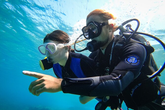 Beginner Diving Experience in Ligaria Bay - The Included and Not Included Elements