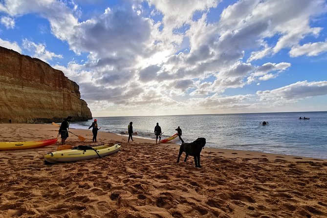 Benagil Cave - Sunrise or Sunset Kayak Tour (Max 12Pax per group) - The Boat and Equipment