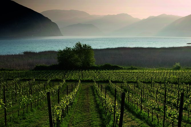 Bergamo and Franciacorta with lunch and cellar visit - Franciacorta Wine Route and Cellar Visit
