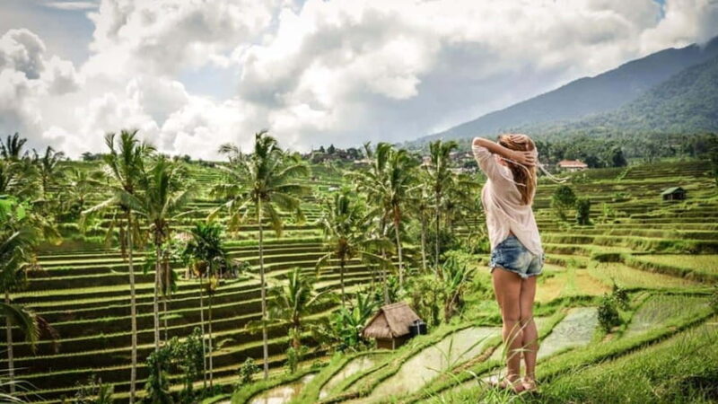 Best Northern Bali Sites with Tanah Lot Temple Tour - What’s Included and What’s Not