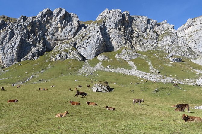 Best of the Uri Alps: A fjord-like lake, glorious peaks and sustainable tourism - The Sum Up