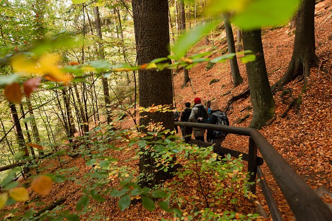 Best Reviews: Saxon and Bohemian Switzerland Day Trip from Prague - The Sum Up