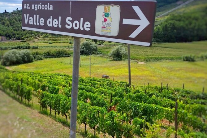 Bike Ride & WIne Tasting - FAQ