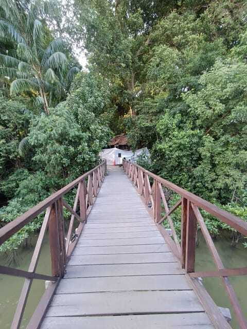 Bintan Mangrove OR Fireflies Tour - Who Will Enjoy This Tour?