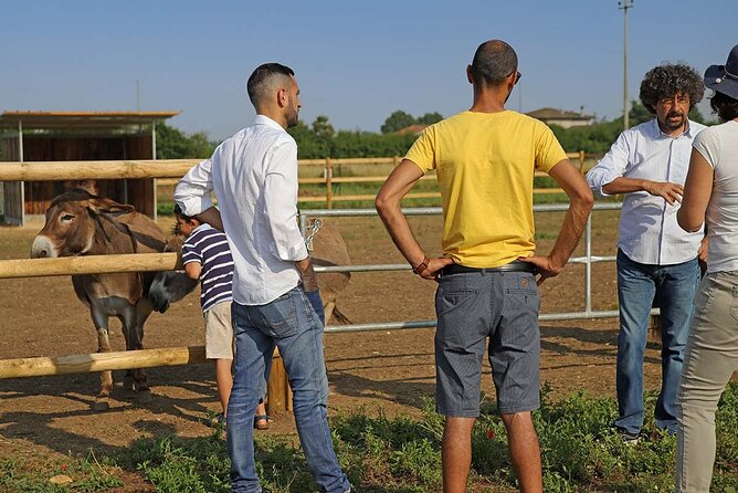 Biodynamic Farm and Natural Wines Tasting in Lazise - A Genuine Look at Biodynamic Farming and Natural Wines in Lazise